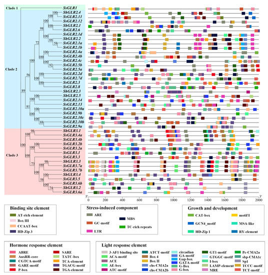 Genome-Wide Identification, Characterization, and Expression Analysis ...
