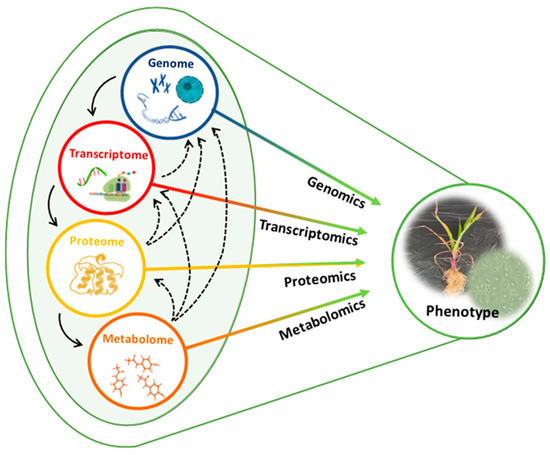 Bacillus for Plant Growth Promotion and Stress Resilience: What Have We Learned?