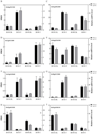 Physiological and Transcriptomic Analyses Reveal the Mechanisms of Compensatory Growth Ability ...