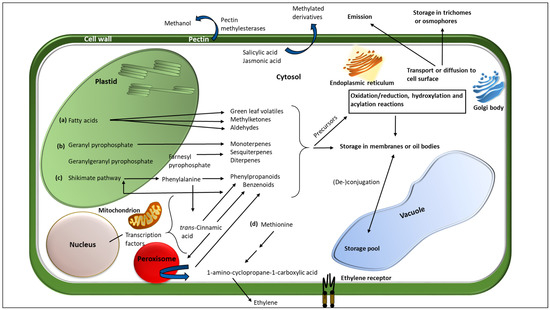 Stress-Induced Volatile Emissions and Signalling in Inter-Plant ...