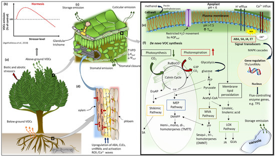 Stress-Induced Volatile Emissions and Signalling in Inter-Plant ...