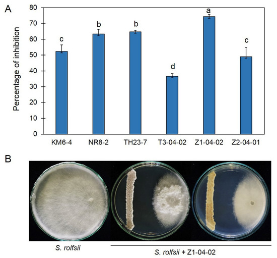 A Rhizobacterium, Streptomyces albulus Z1-04-02, Displays Antifungal ...