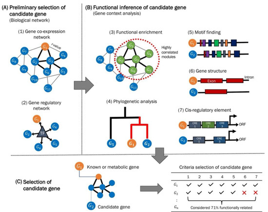 Multi-Omics Approaches and Resources for Systems-Level Gene Function Prediction in the Plant Kingdom