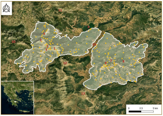 Plant Diversity of Mts. Oligirtos and Farmakas (NE Peloponnisos, Greece ...