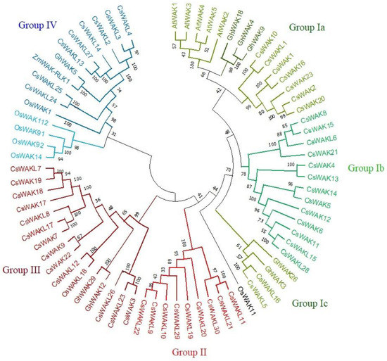 Genome-Wide Identification and Expression Analysis of Wall-Associated ...