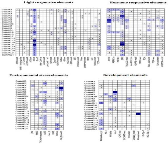 Genome-Wide Identification and Expression Analysis of Wall-Associated ...
