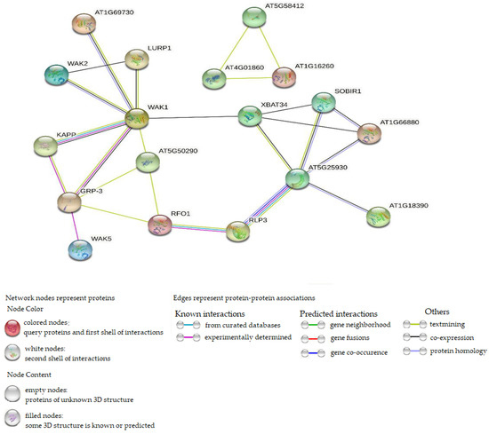 Plants | Free Full-Text | Genome-Wide Identification and Expression ...