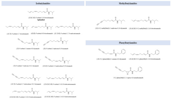 A Review of the Chemistry and Biological Activities of Acmella oleracea ...