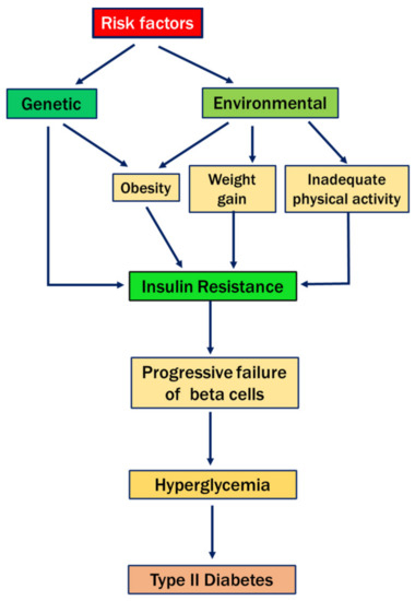 Plants | Free Full-Text | Recent Updates on Phytoconstituent Alpha ...