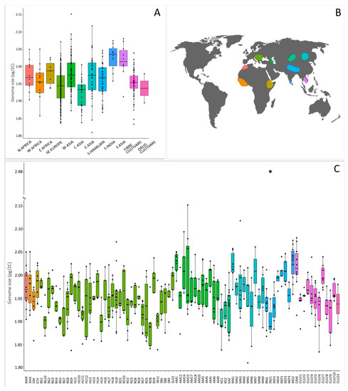Novel Insights into the Nature of Intraspecific Genome Size Diversity ...