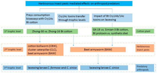 Effect of Transgenic Cotton Expressing Bt Cry1Ac or Cry1Ab/Ac Toxins on ...
