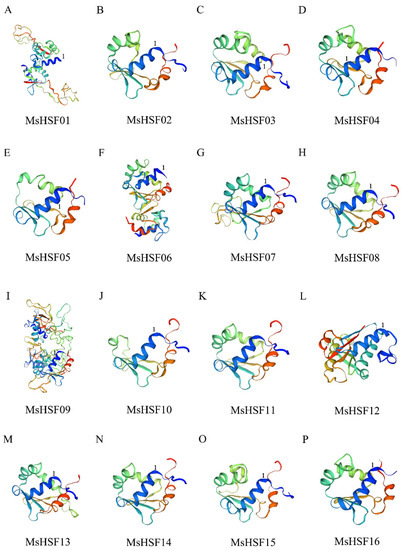 Genome-Wide Identification and Expression Analysis of HSF Transcription ...