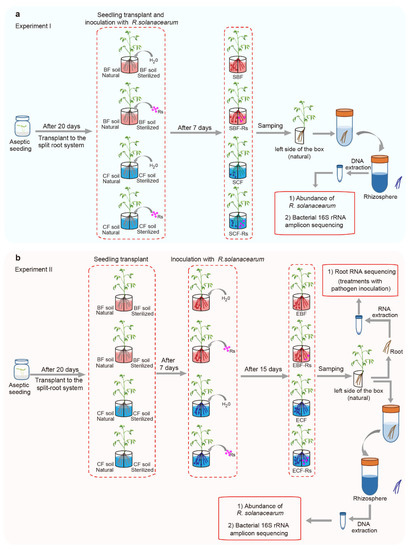 Partitioning the Effects of Soil Legacy and Pathogen Exposure ...