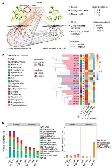 Partitioning the Effects of Soil Legacy and Pathogen Exposure Determining Soil Suppressiveness ...