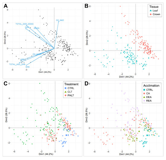Comparative Analysis of Antioxidant Accumulation under Cold Acclimation, Deacclimation and ...