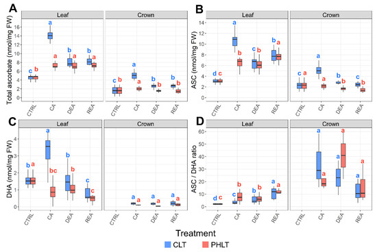 Comparative Analysis of Antioxidant Accumulation under Cold Acclimation, Deacclimation and ...