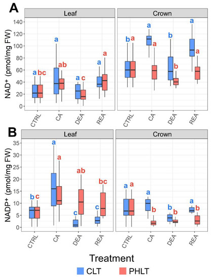 Comparative Analysis of Antioxidant Accumulation under Cold Acclimation, Deacclimation and ...