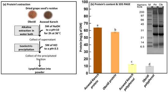 Multi-Step Biomass Fractionation of Grape Seeds from Pomace, a Zero ...