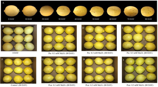Pre- or Post-Harvest Treatment with MeJA Improves Post-Harvest Storage ...