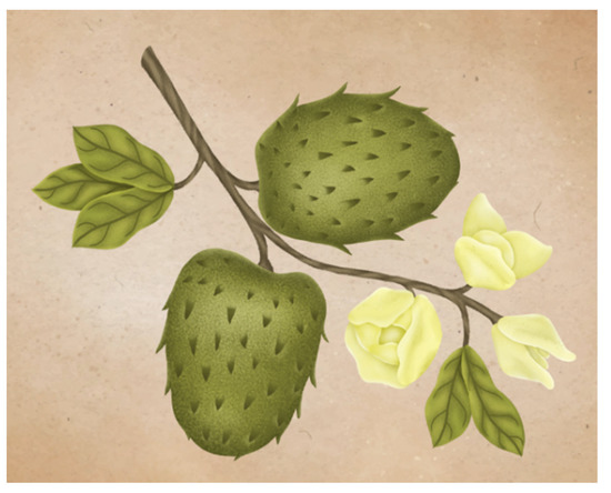 An Integrative Approach to the Flavonoid Profile in Some Plants’ Parts ...