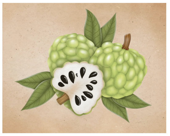 An Integrative Approach to the Flavonoid Profile in Some Plants’ Parts ...