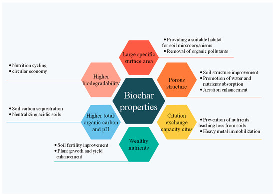 Biochar Coating Is a Sustainable and Economical Approach to Promote ...
