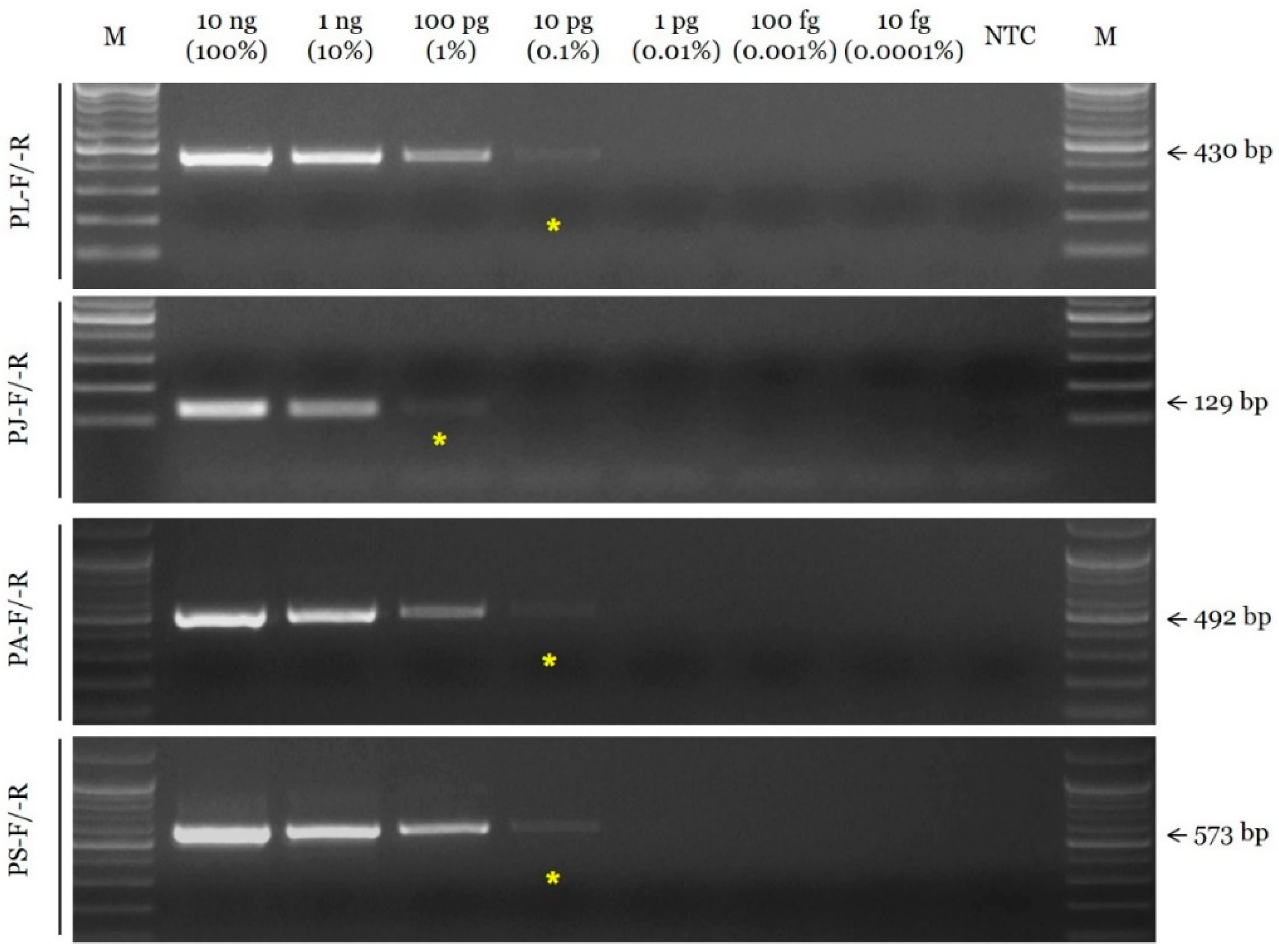 Rapid Identification of Paeoniae Radix and Moutan Radicis Cortex Using ...
