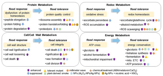 Crop Proteomics under Abiotic Stress: From Data to Insights