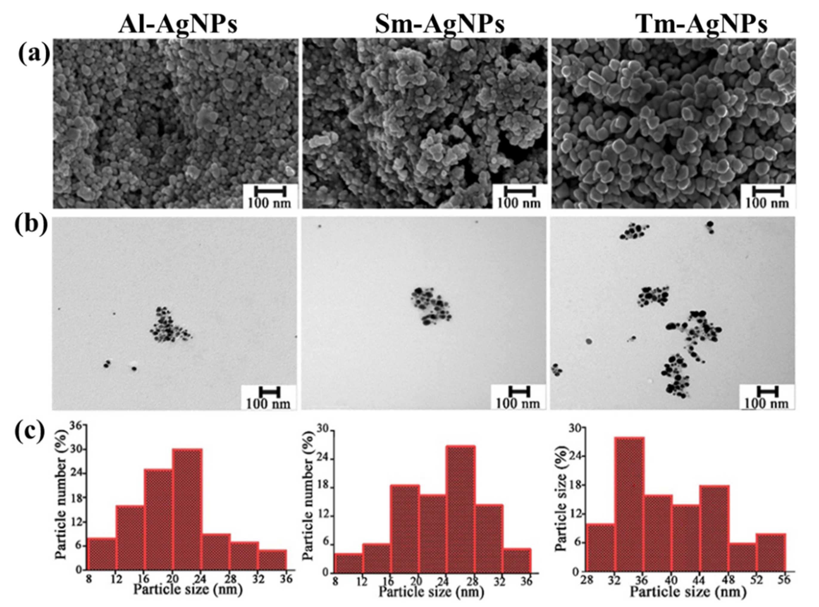Bioinspired Green Synthesis of Silver Nanoparticles Using Three Plant ...