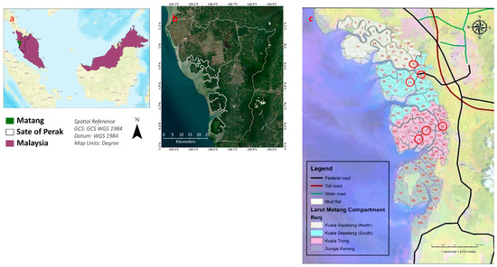 Elemental Composition of Above and Belowground Mangrove Tissue and ...