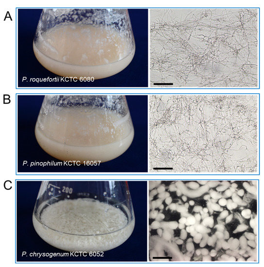 Production of Nematicidal Pinosylvin Stilbenes in Cell Suspension ...