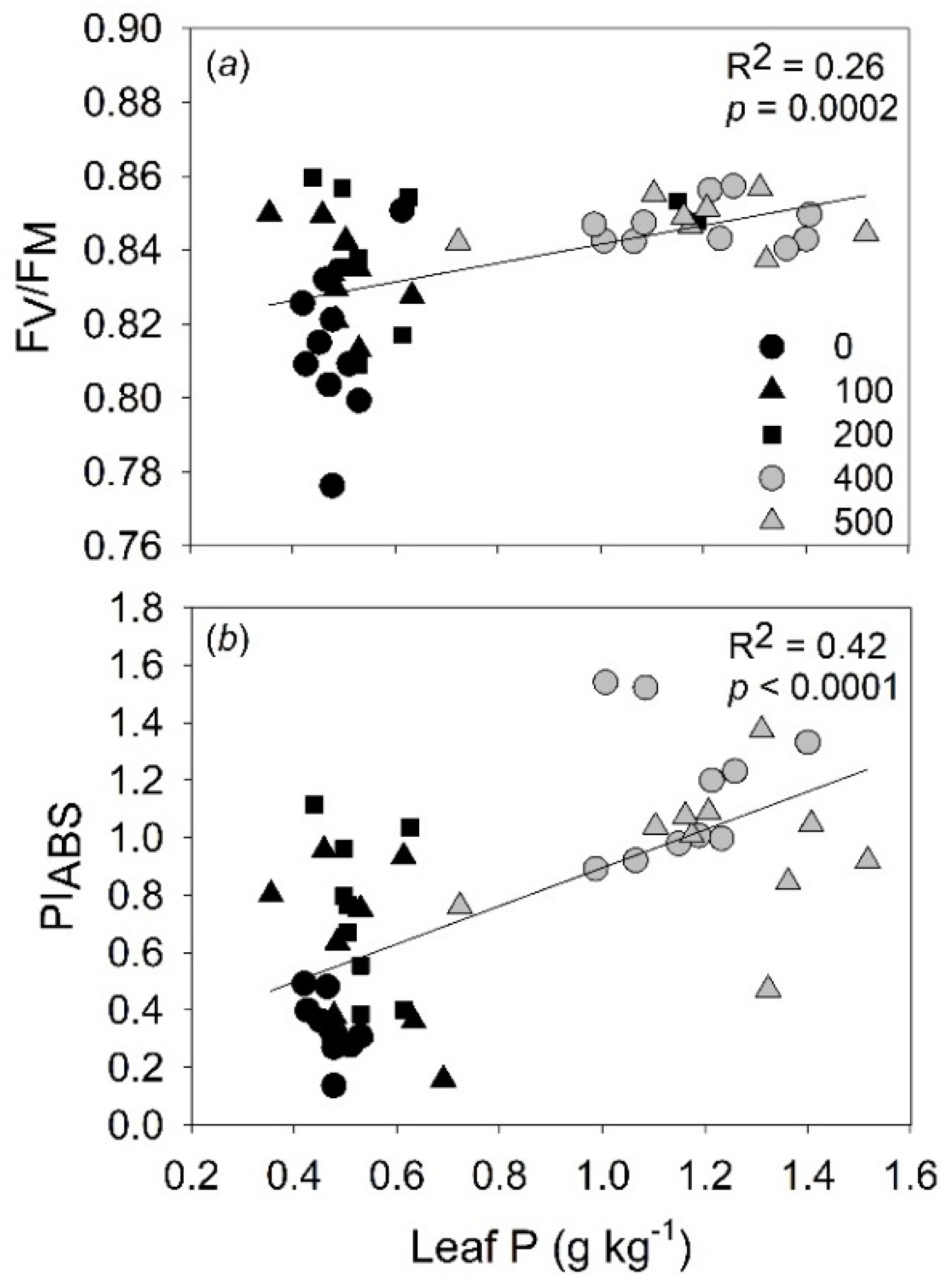 The Role of Phosphate Fertilization on Physiological Responses of the ...