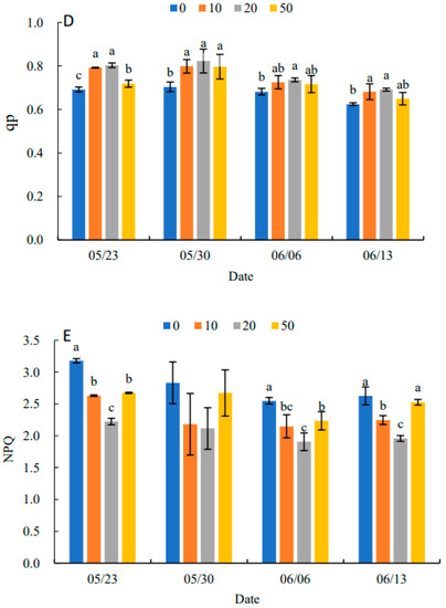 The 5-Aminolevulinic Acid (5-ALA) Supplement Enhances PSII ...