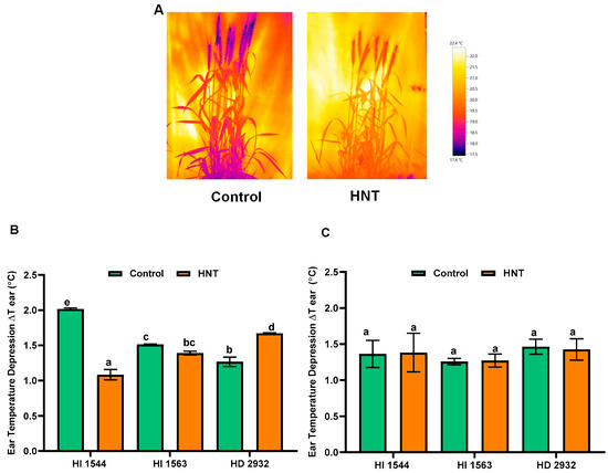 Impact of High Night Temperature on Yield and Pasting Properties of ...