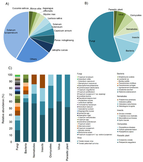 The Suppressive Effects of Biochar on Above- and Belowground Plant ...
