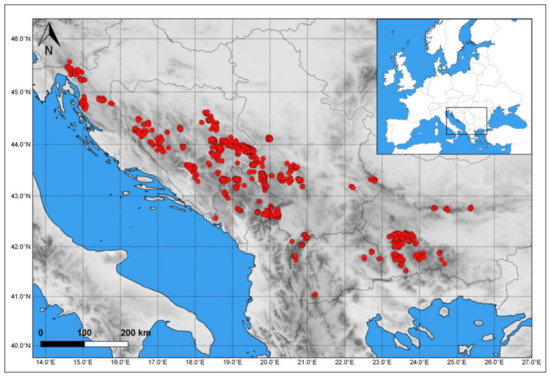 Phytogeographic Characteristics of Montane Coniferous Forests of the ...