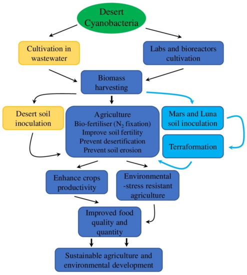 Metabolites Facilitating Adaptation of Desert Cyanobacteria to ...