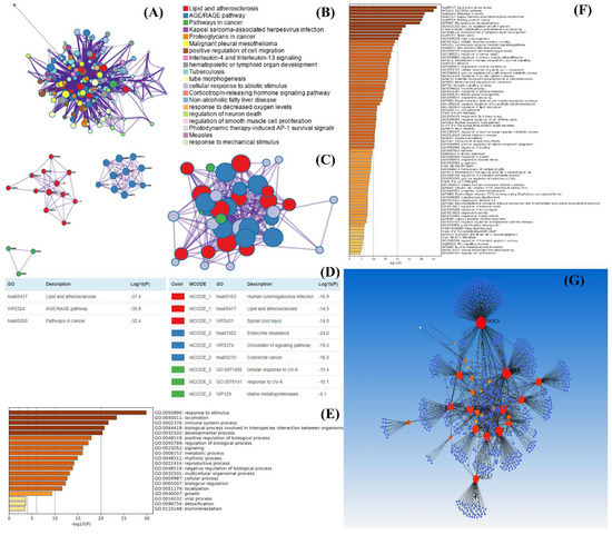 Metabolomics and Network Pharmacology in the Exploration of the Multi ...