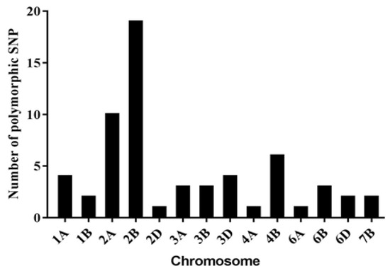 Fine Mapping of Stripe-Rust-Resistance Gene YrJ22 in Common Wheat by ...