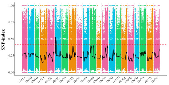 Fine Mapping of Stripe-Rust-Resistance Gene YrJ22 in Common Wheat by ...