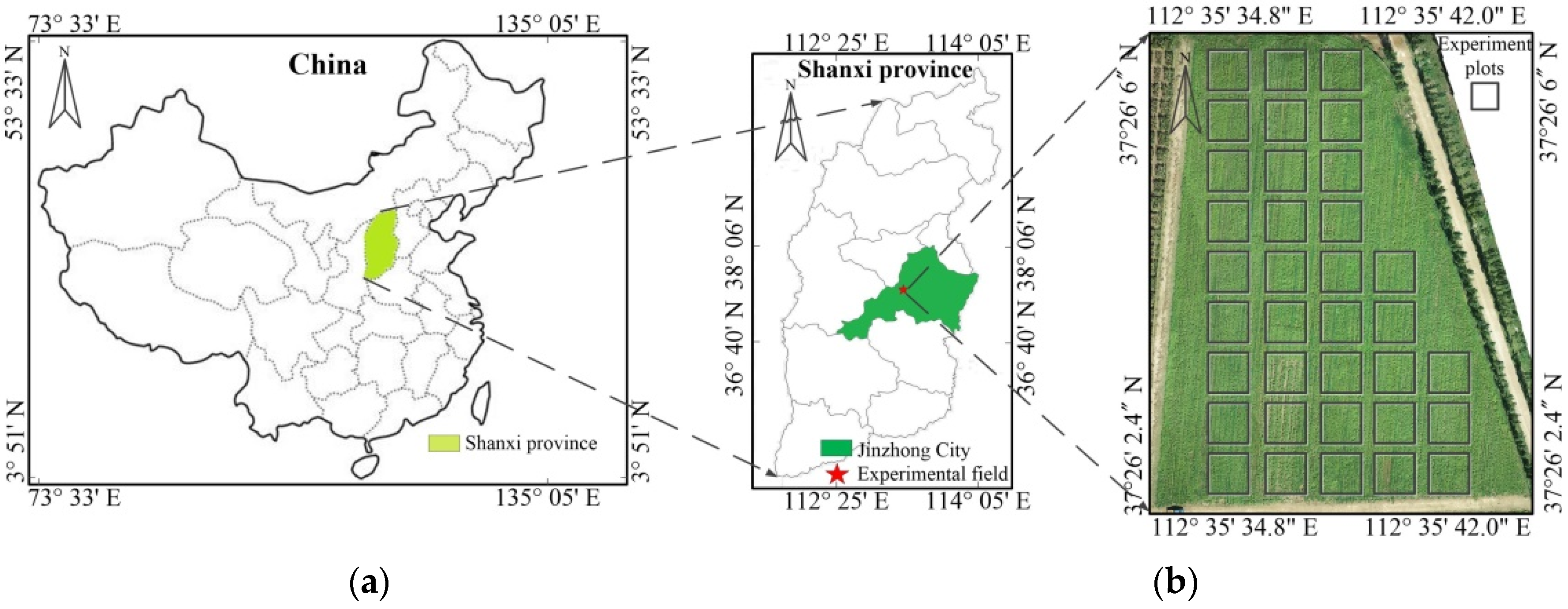 Prediction of Buckwheat Maturity in UAV-RGB Images Based on Recursive ...