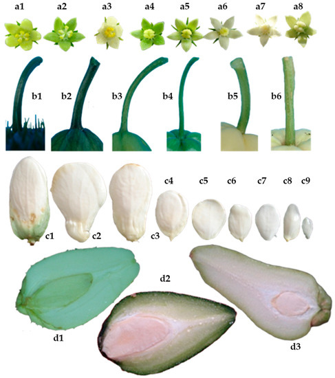Varietal Descriptors for the Distinction of Underutilized Varieties of ...