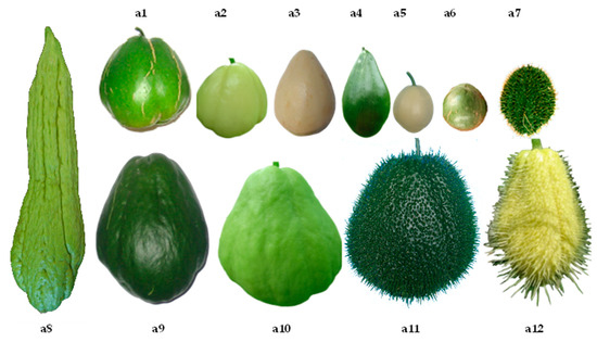 Varietal Descriptors for the Distinction of Underutilized Varieties of ...
