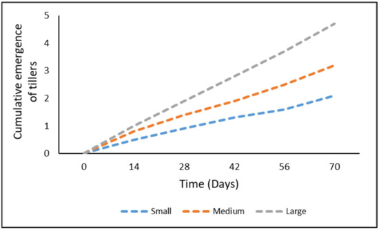 Effect of Rhizome Fragment Length and Burial Depth on the Emergence of ...