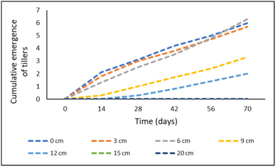 Effect of Rhizome Fragment Length and Burial Depth on the Emergence of ...