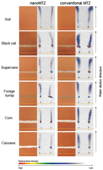 Availability of Metribuzin-Loaded Polymeric Nanoparticles in Different ...