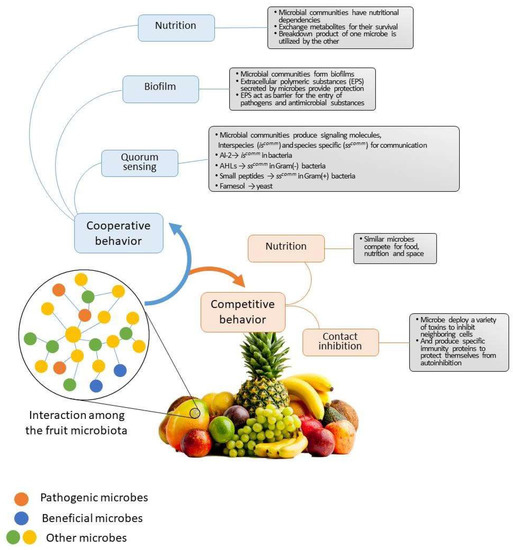 Microbial Intervention: An Approach to Combat the Postharvest Pathogens of Fruits