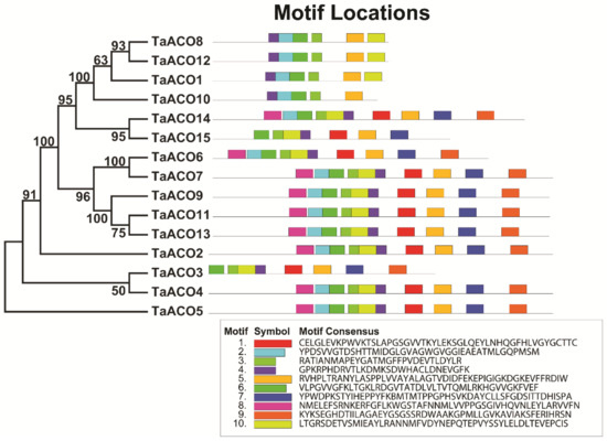 Genome-Wide Identification and Expression Profiling of Aconitase Gene ...