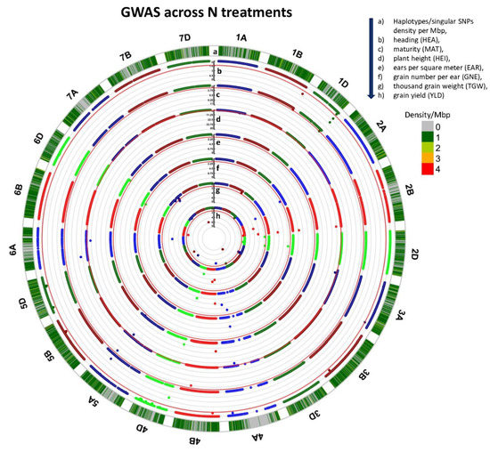 Plants | Free Full-Text | A Haplotype-Based GWAS Identified Trait ...