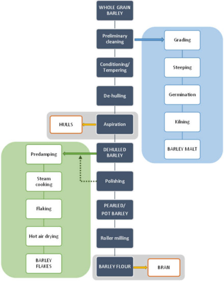 Plants | Free Full-Text | Barley in the Production of Cereal-Based Products